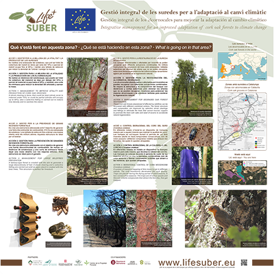 Instalación de paneles informativos | Proyecto LIFE+Suber